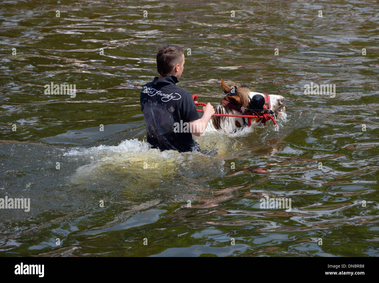 Gypsy traveller boy riding horse in River Eden. Appleby Horse Fair ...