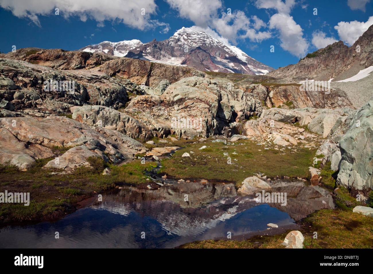 WASHINGTON - A cloud capped Mount Rainier reflecting in a small tarn on ...