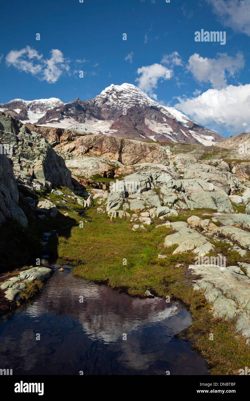 Mount Rainier and the Tahoma Glacier reflecting in a small tarn on the ...