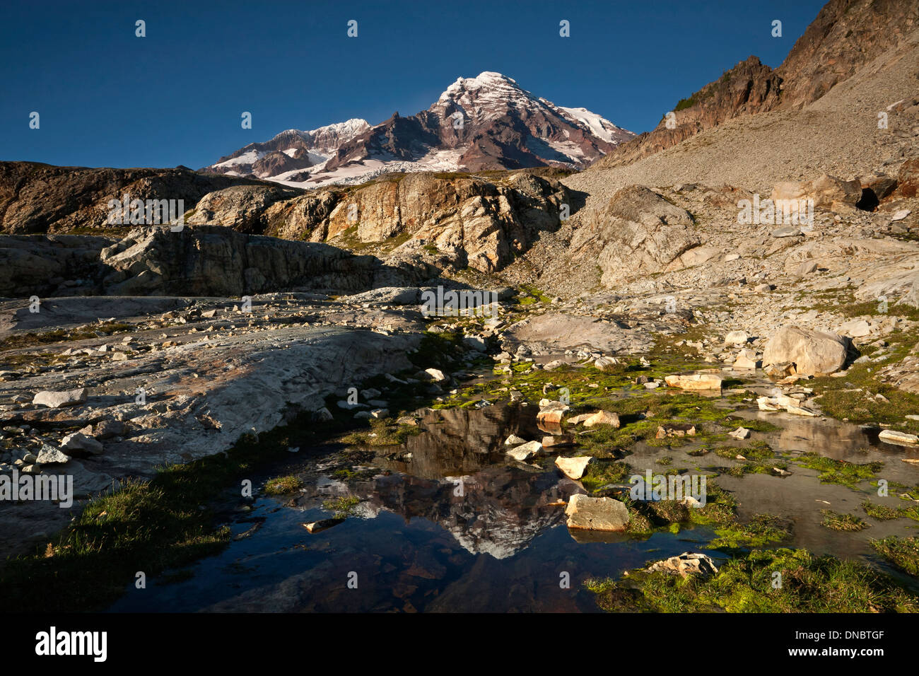 Mount Rainier and the Tahoma Glacier reflecting in a small tarn on the ...