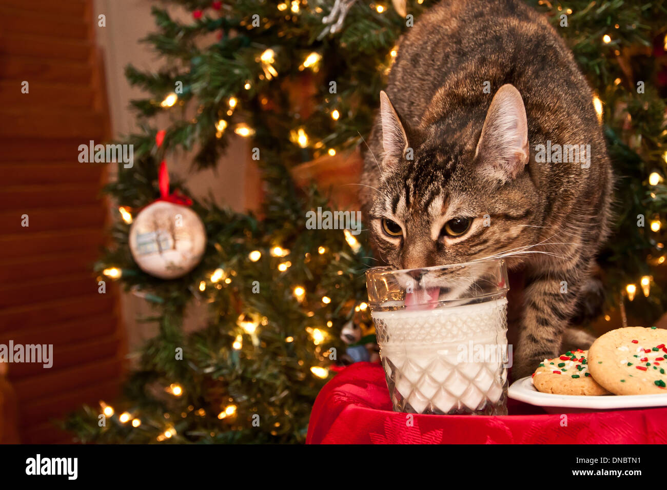 Bad Christmas Decorations