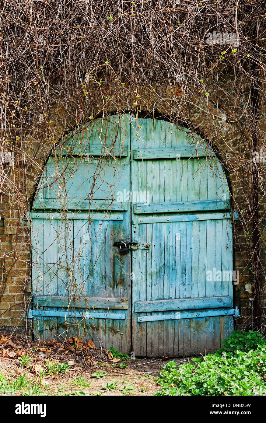 Old door plant in hi-res stock photography and images - Alamy