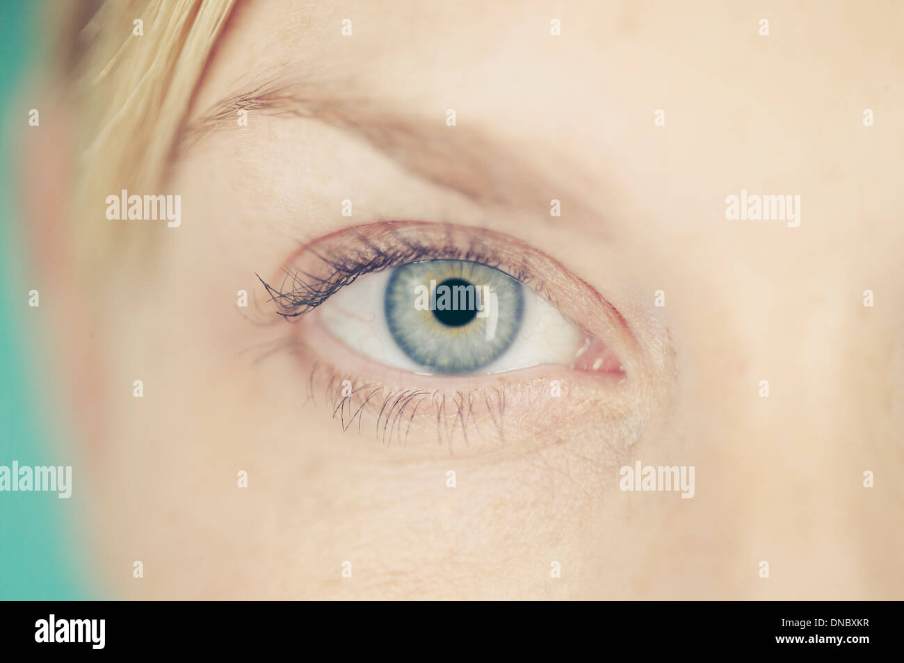 A womans blue eye, close up Stock Photo - Alamy