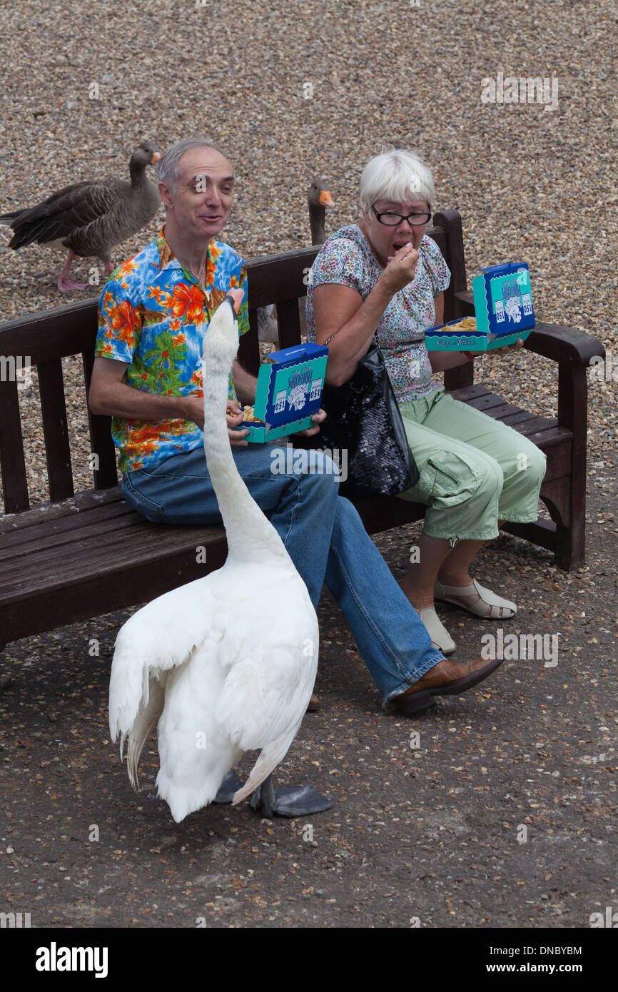 Food handouts europe hi-res stock photography and images - Alamy