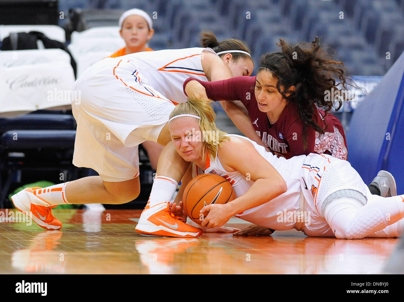 Slim hawks hi-res stock photography and images - Alamy