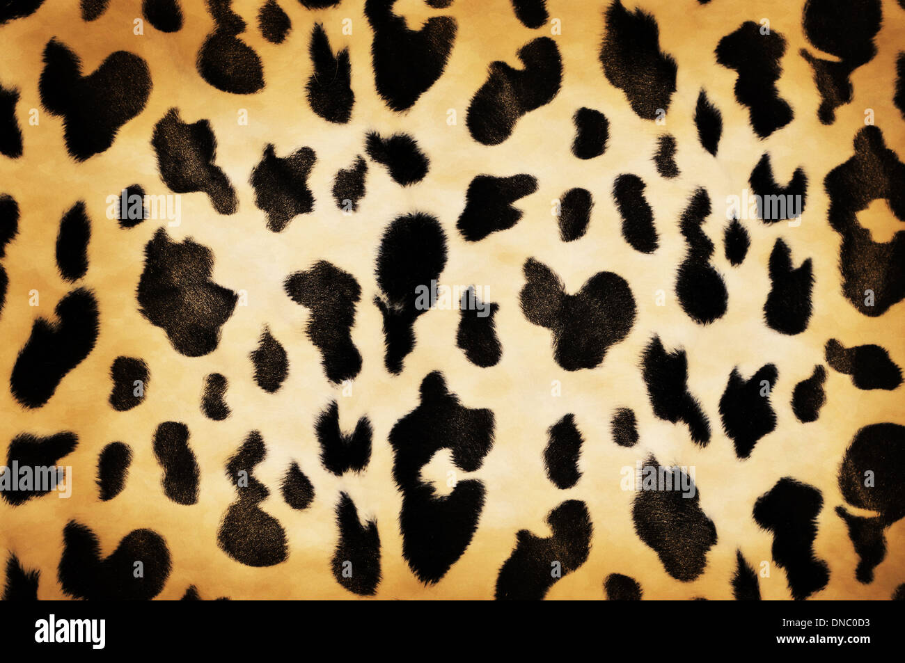 Natural cow pattern spots background or texture Stock Photo - Alamy