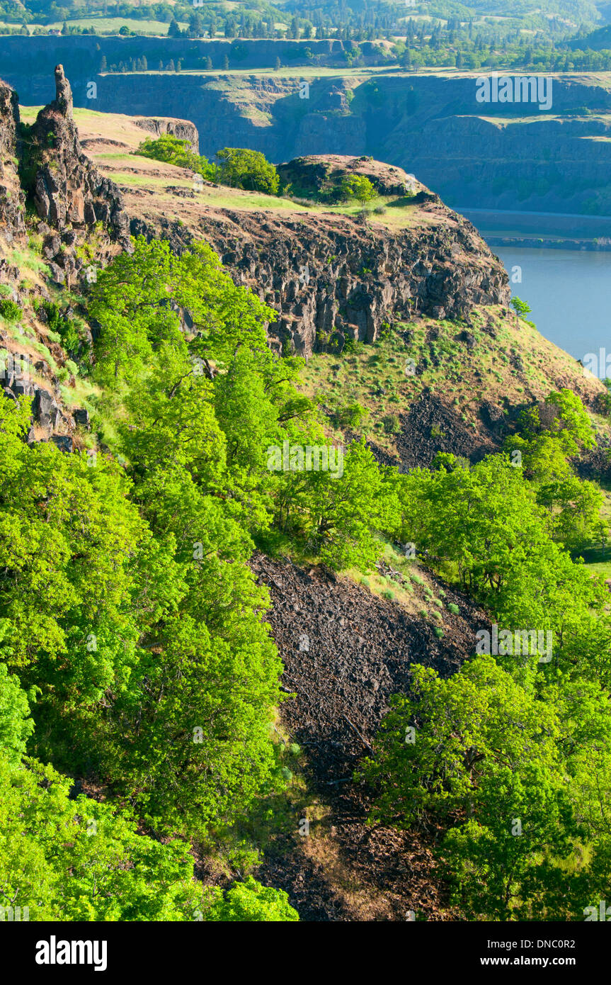 Basalt cliffs, Tom McCall Preserve, Columbia River Gorge National ...