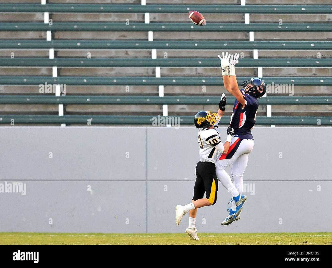 Lenius hi-res stock photography and images - Alamy