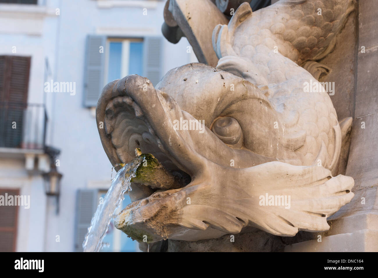 Fish sculpture on the Fontana del Pantheon fountain at Piazza della ...