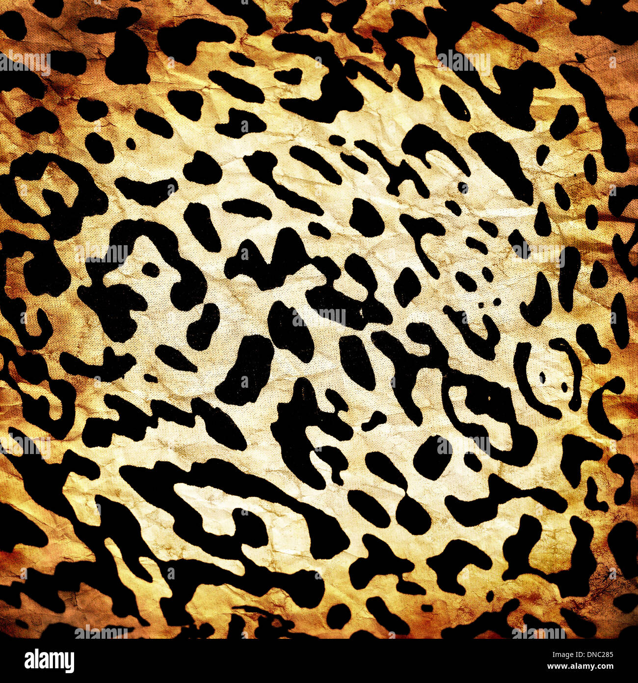 Animal Skin Pattern