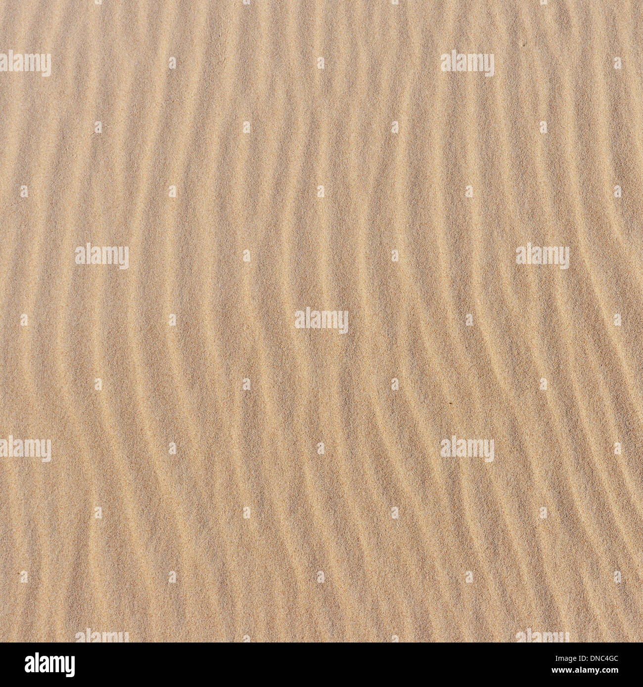 Yellow sand texture or background close up Stock Photo - Alamy