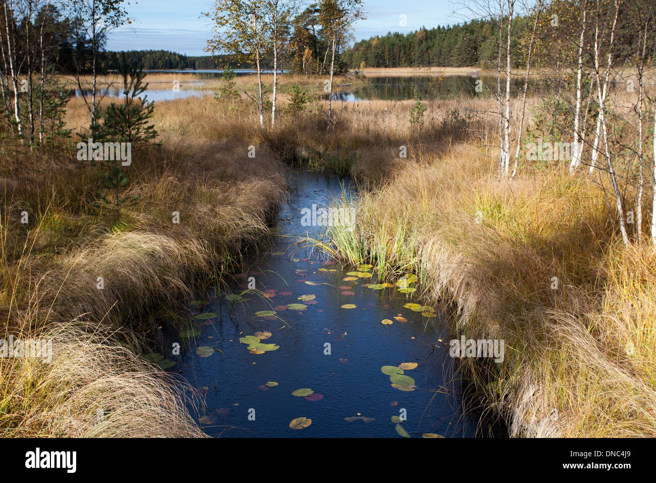 Meri-Teijo: Matilda Lake Trail: Frozen Creek Stock Photo - Alamy
