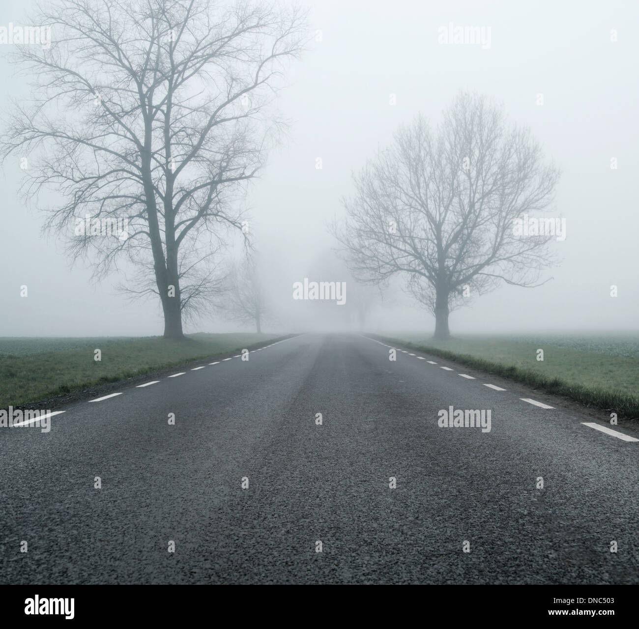 Empty road with sunbeams hi-res stock photography and images - Alamy