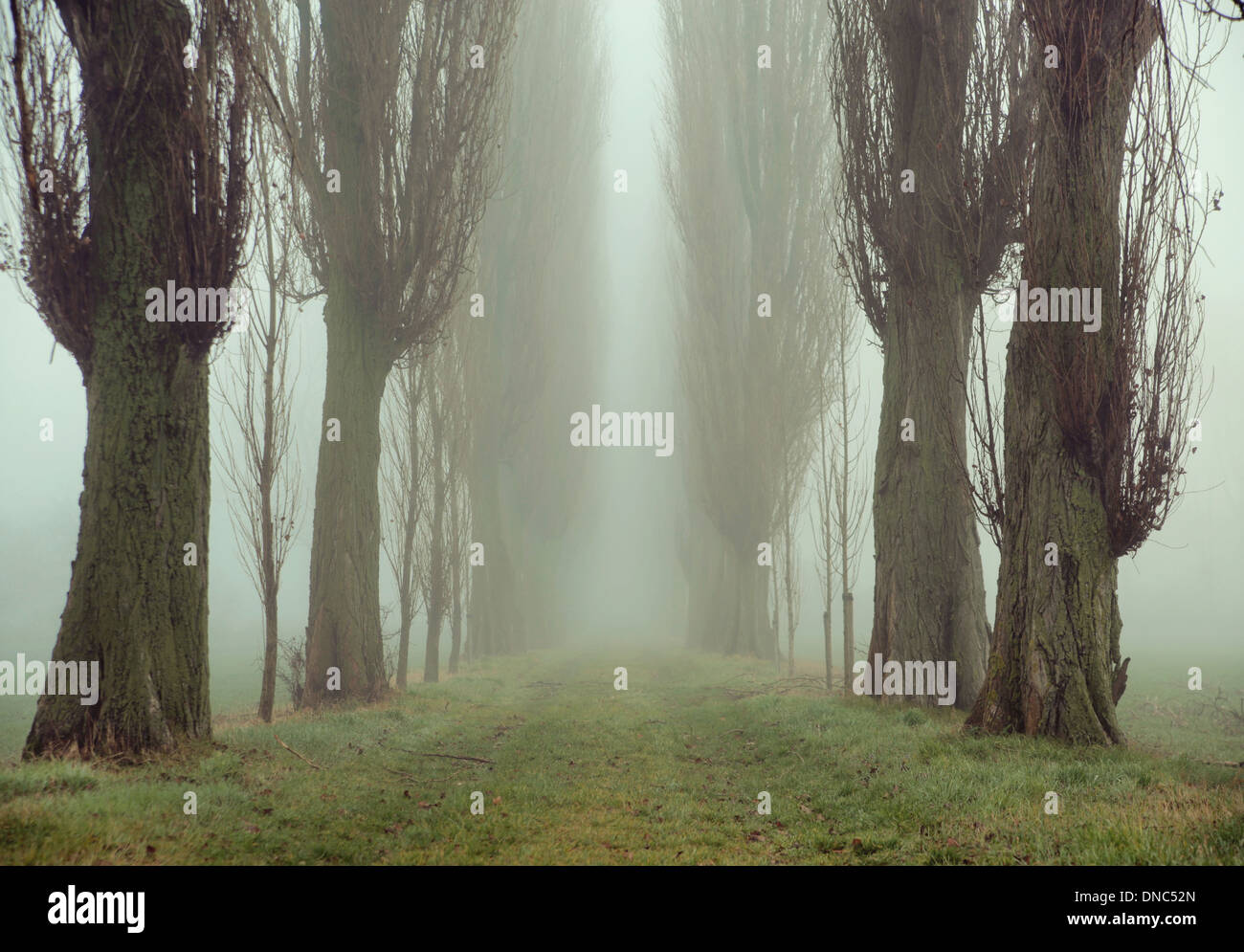 Amazing misty sunrise colors hi-res stock photography and images - Alamy