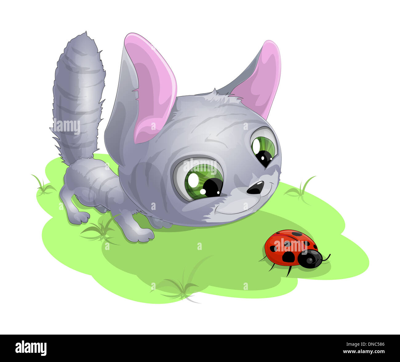 Beetle cat hi-res stock photography and images - Alamy