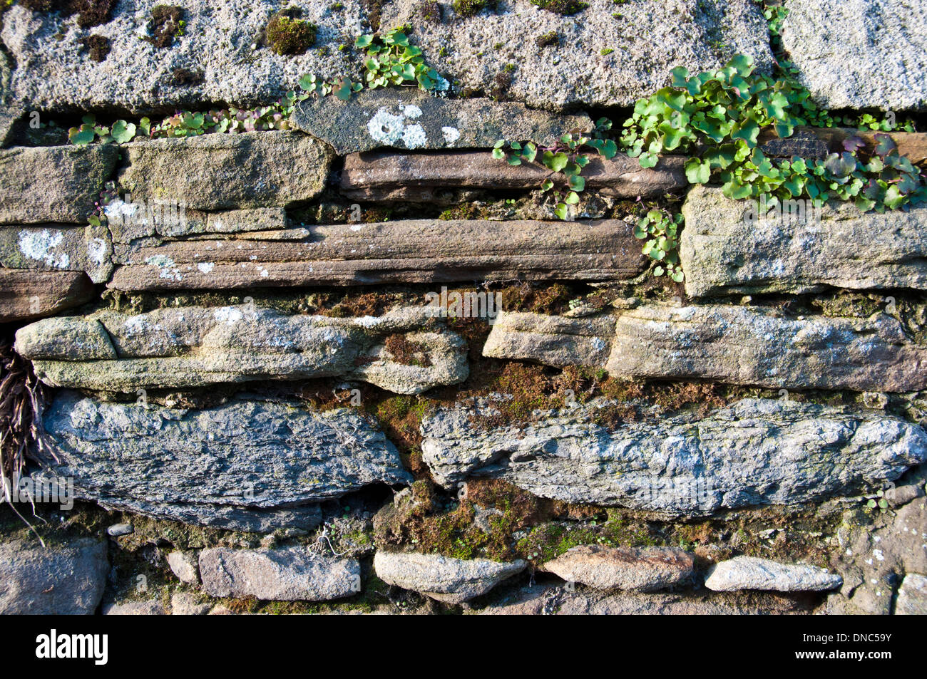 Old bricks showing texture and colour Stock Photo - Alamy