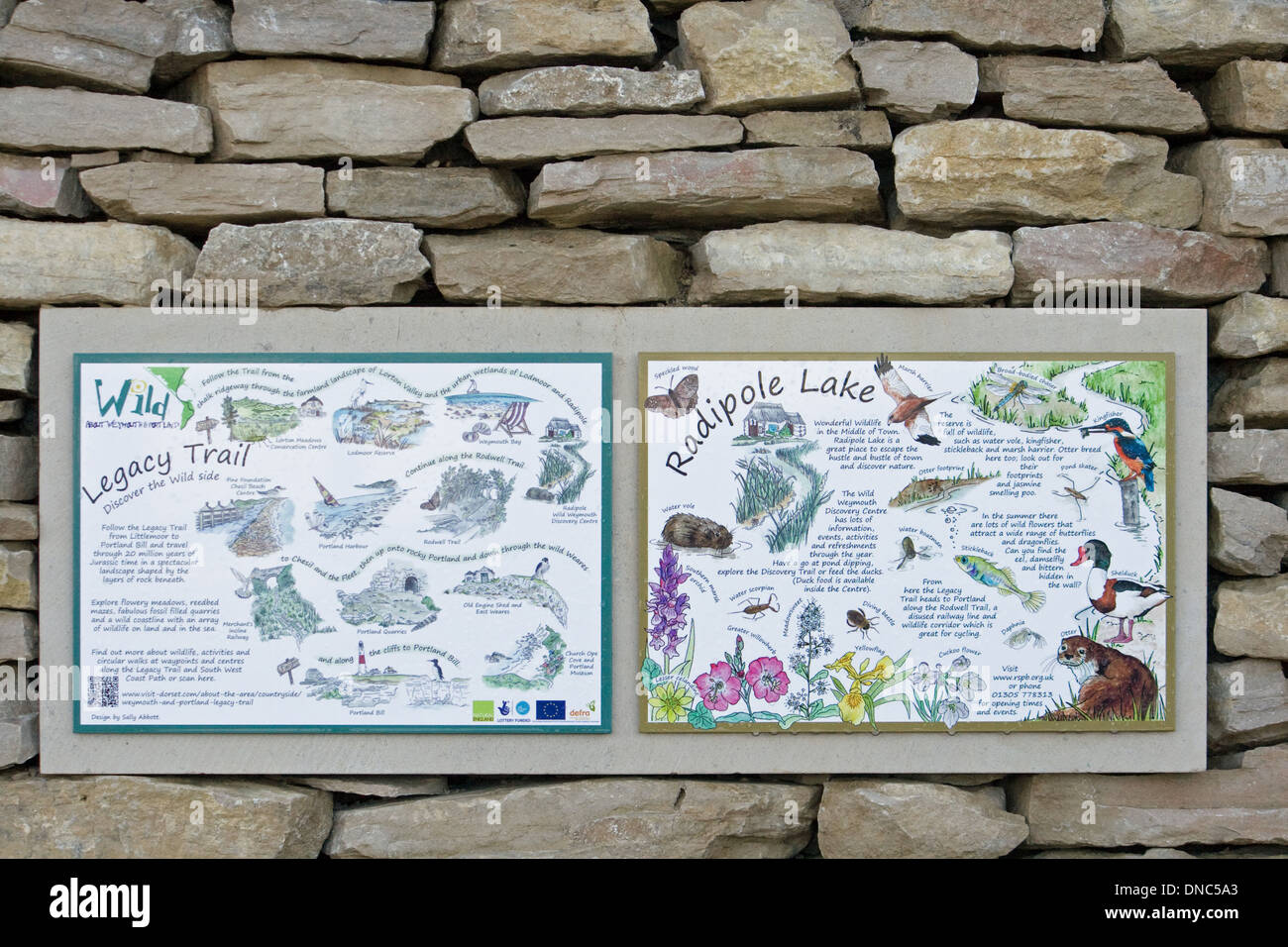 Wildlife information plaque on a stone wall at Radipole,Weymouth,Dorset ...