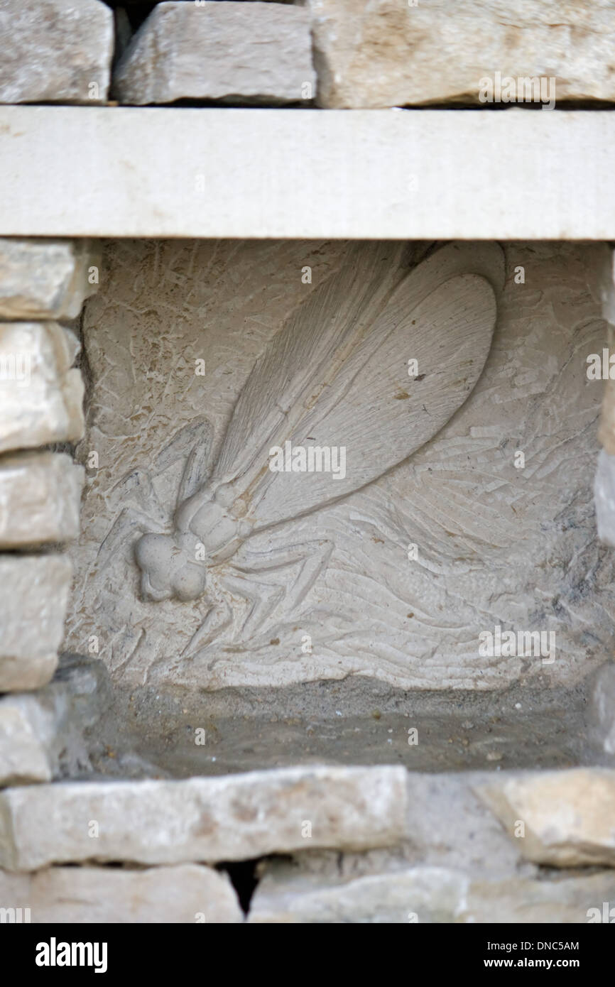 Insect carved in stone hi-res stock photography and images - Alamy