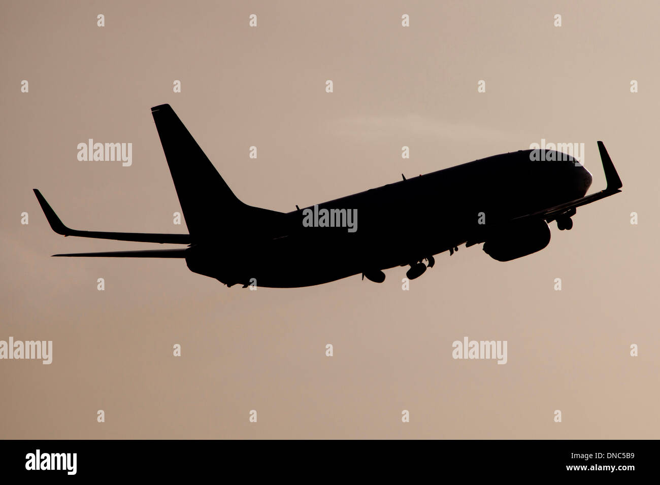 Egypt Air Boeing 737 800 taking off during sunset Stock Photo - Alamy