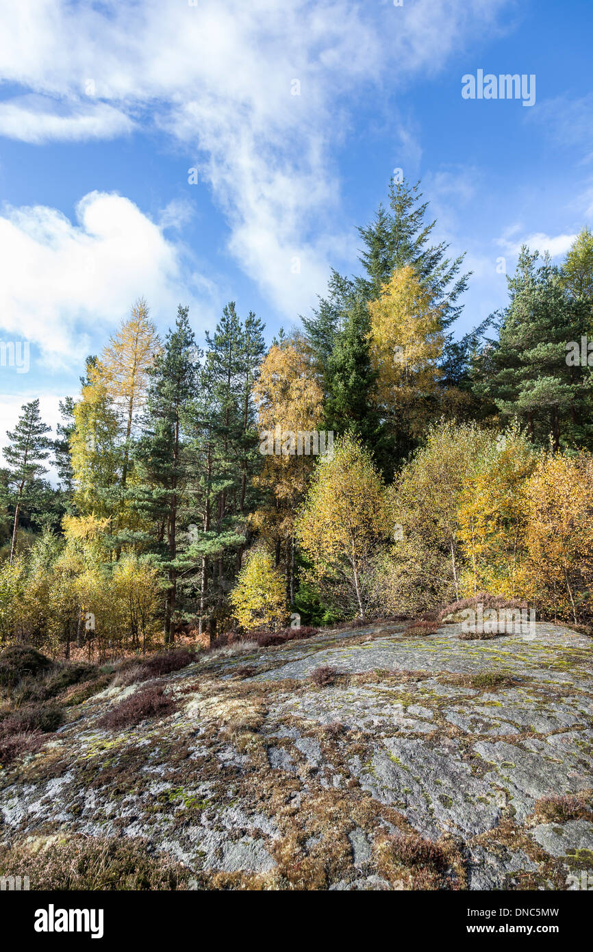 Roches Moutonnees (Glacial Rock) in the Cairngorms National Park of ...