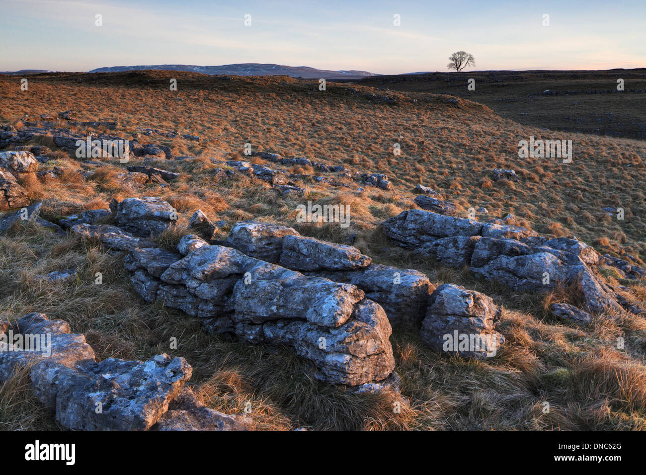 Winter morning on Malham Lings in Malhamdale in the Yorkshire Dales of ...