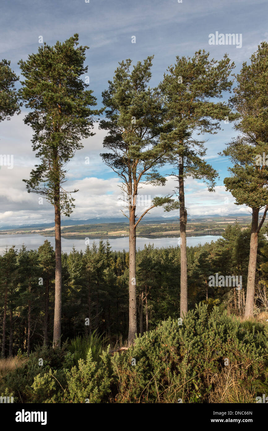 Craig phadrig hi-res stock photography and images - Alamy