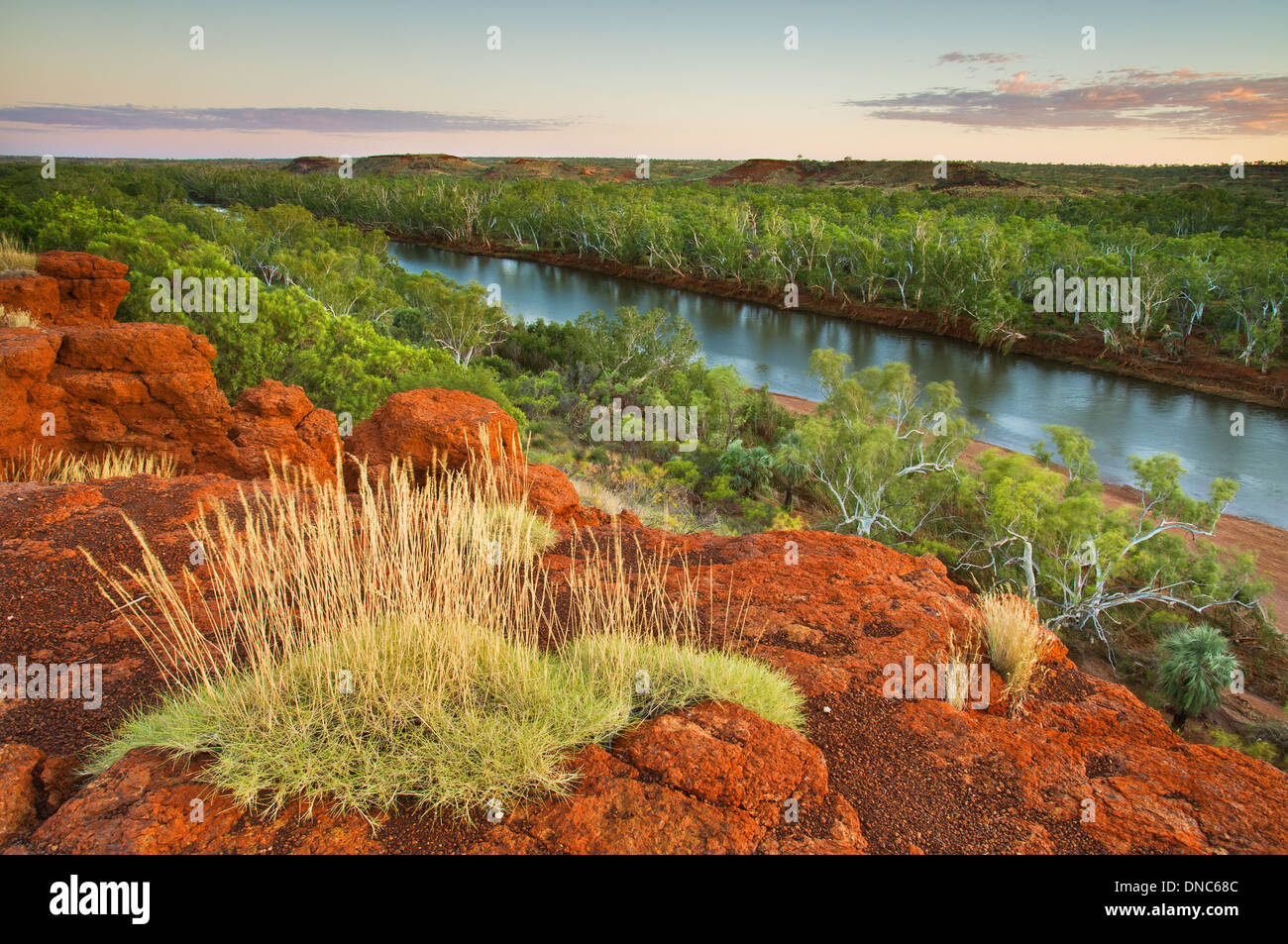The oasis of Deep Reach Pool in Millstream-Chichester National Park ...