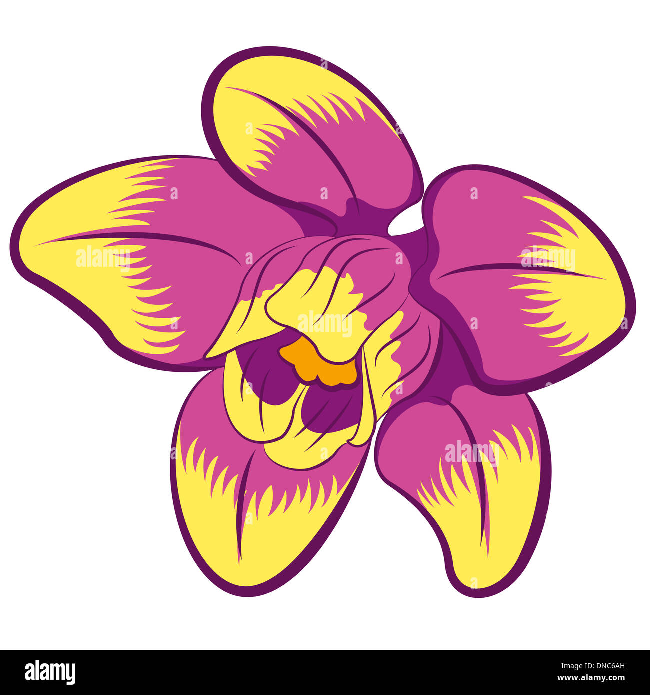 Beautiful flower illustration hi-res stock photography and images - Alamy