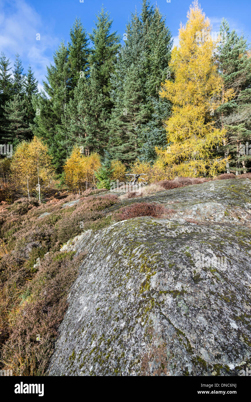 Roches Moutonnees (Glacial Rock) in the Cairngorms National Park of ...