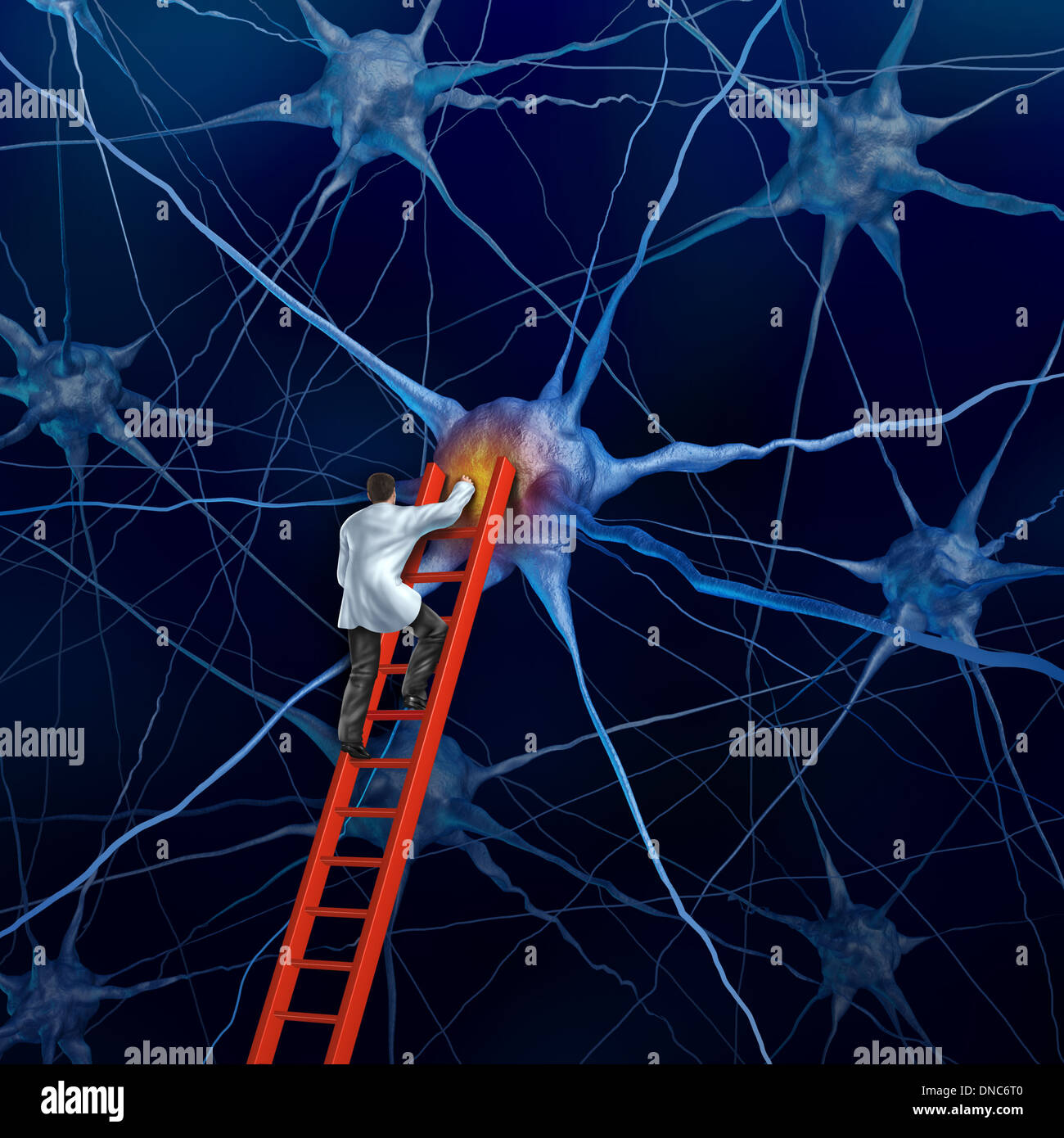 Brain doctor on a red ladder examining the neurons of a human head ...
