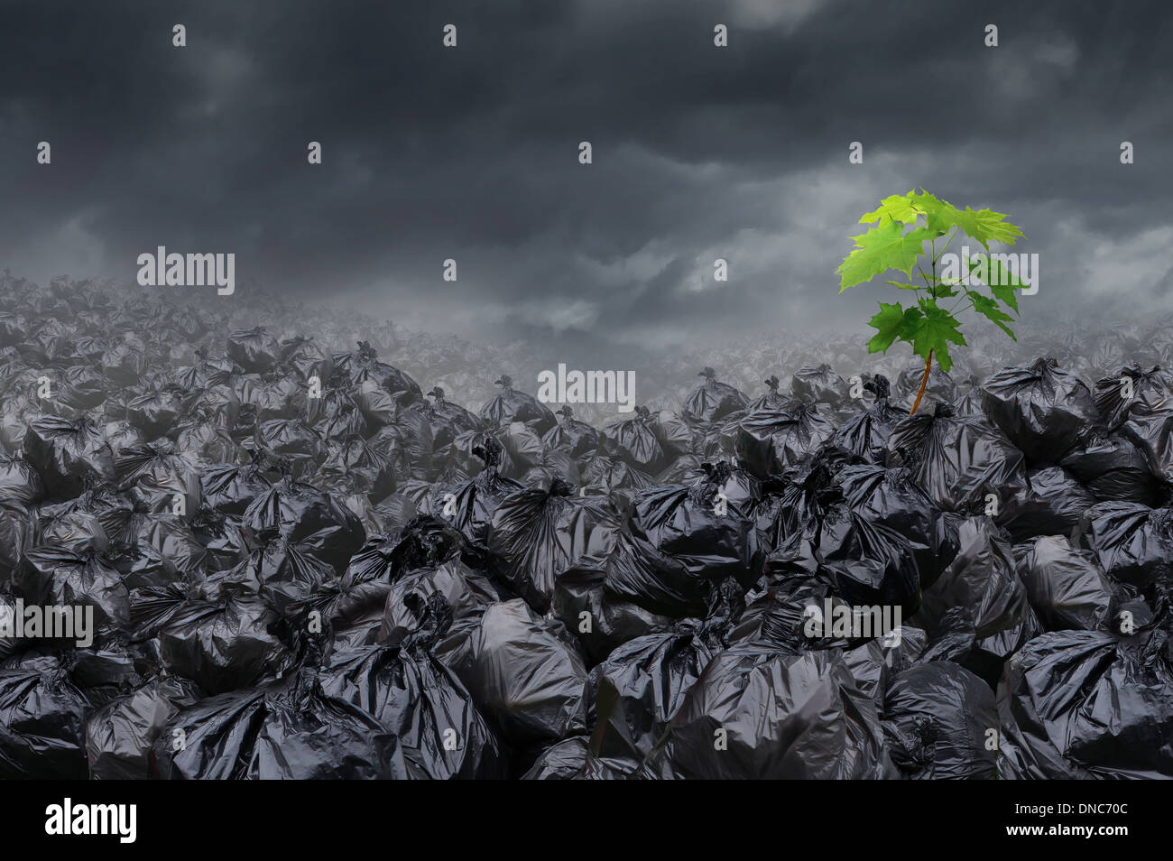 Environmental hope concept with a pile of dirty trash at a garbage dump ...
