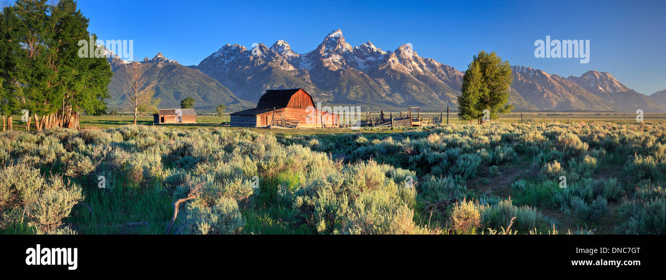 The iconic north Moulton Barn and the Teton Mountains along Antelope ...