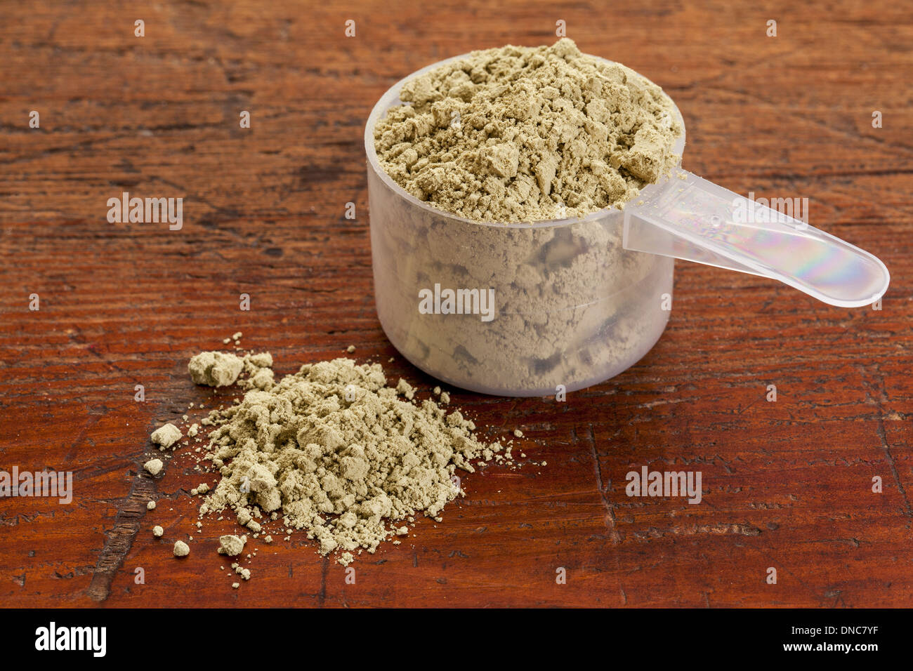 measuring scoop of kelp powder nutritional supplement Stock Photo - Alamy