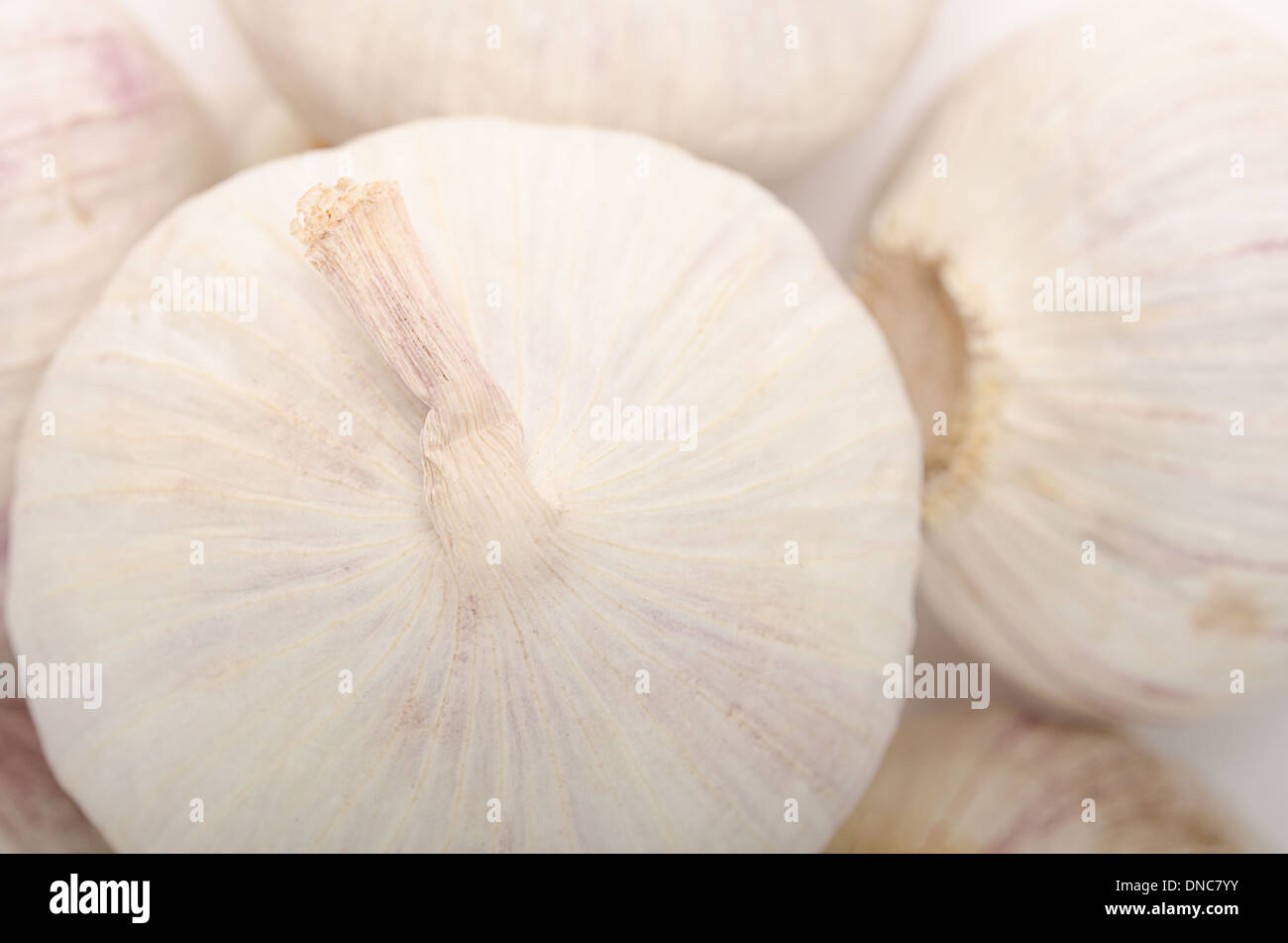 Garlic bulbs ready to germinate in basket Stock Photo - Alamy