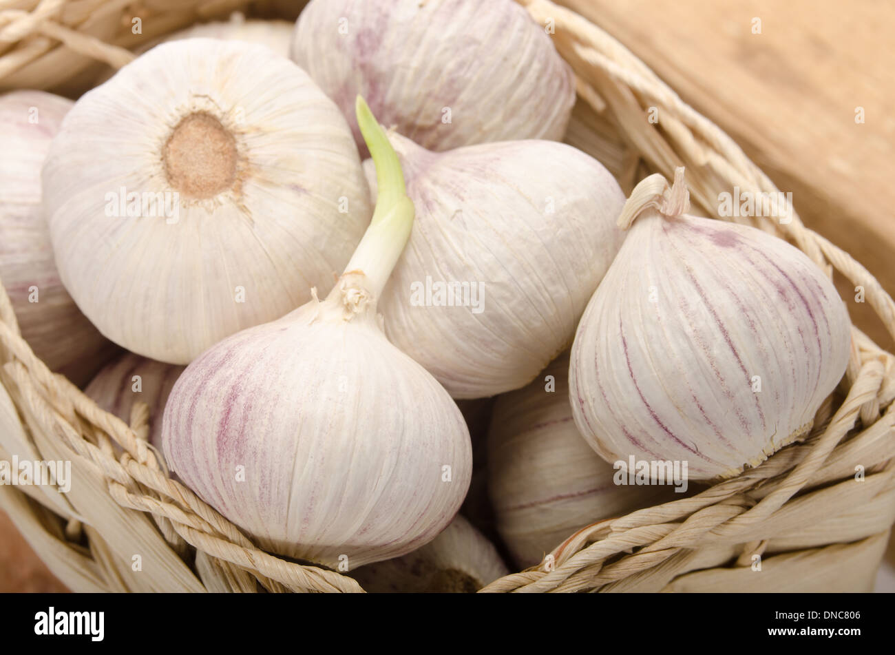 Garlic bulbs ready to germinate in basket Stock Photo - Alamy