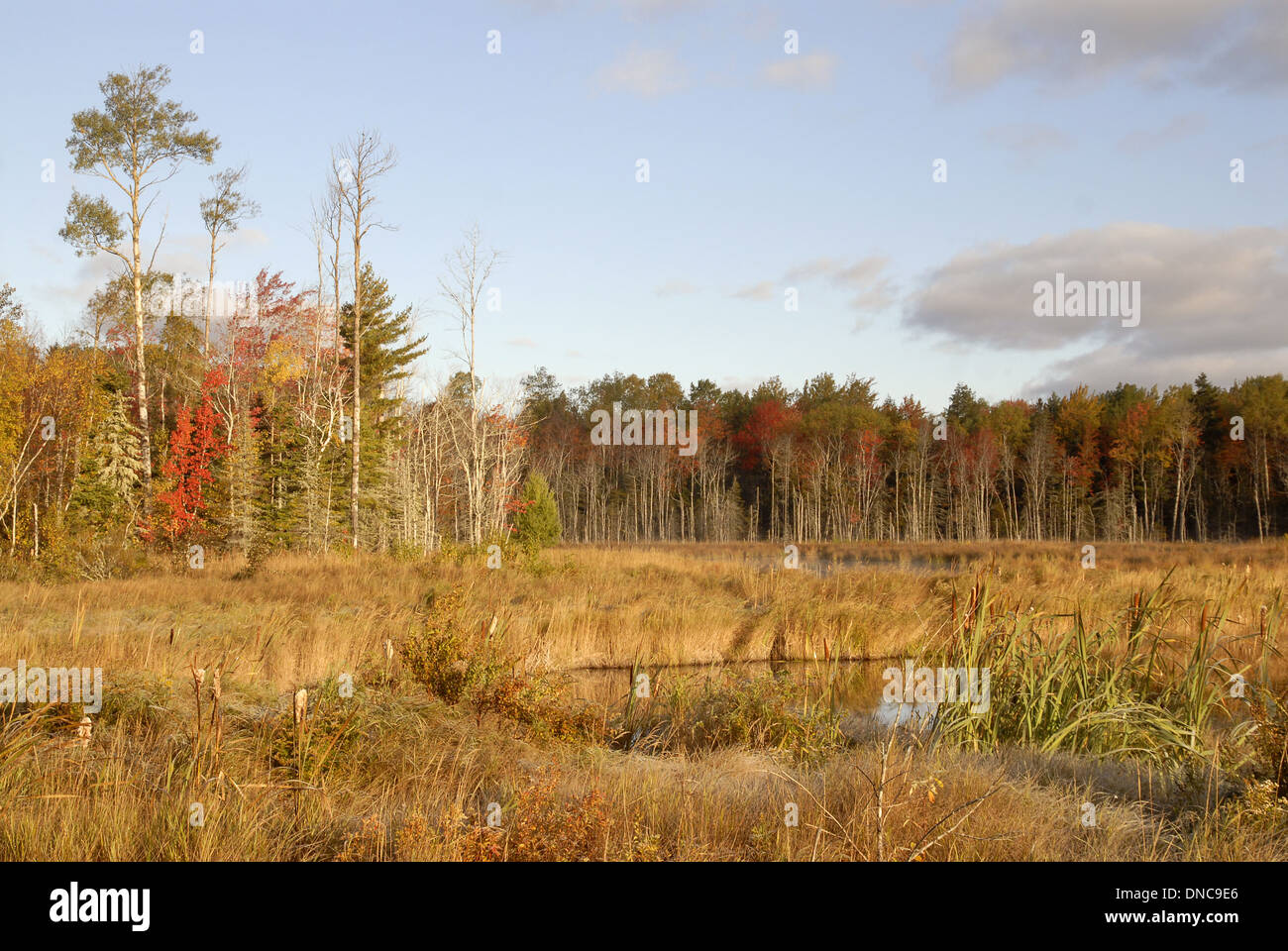 Nova scotia autumn hi-res stock photography and images - Alamy