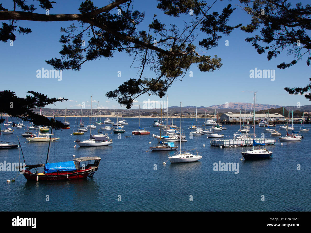 Boats in monterey bay monterey hi-res stock photography and images - Alamy