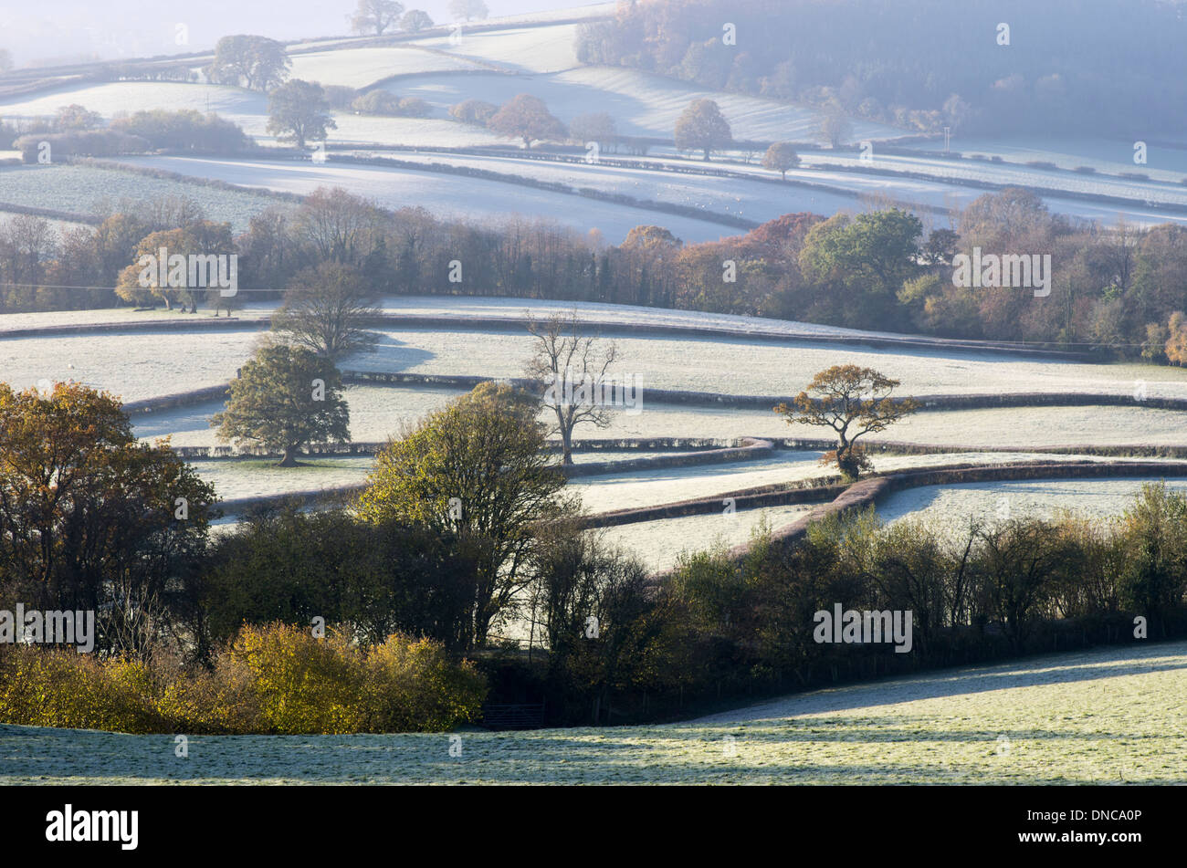 Frosty fields hi-res stock photography and images - Alamy