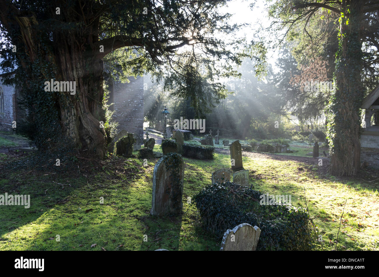 Maelog hi-res stock photography and images - Alamy