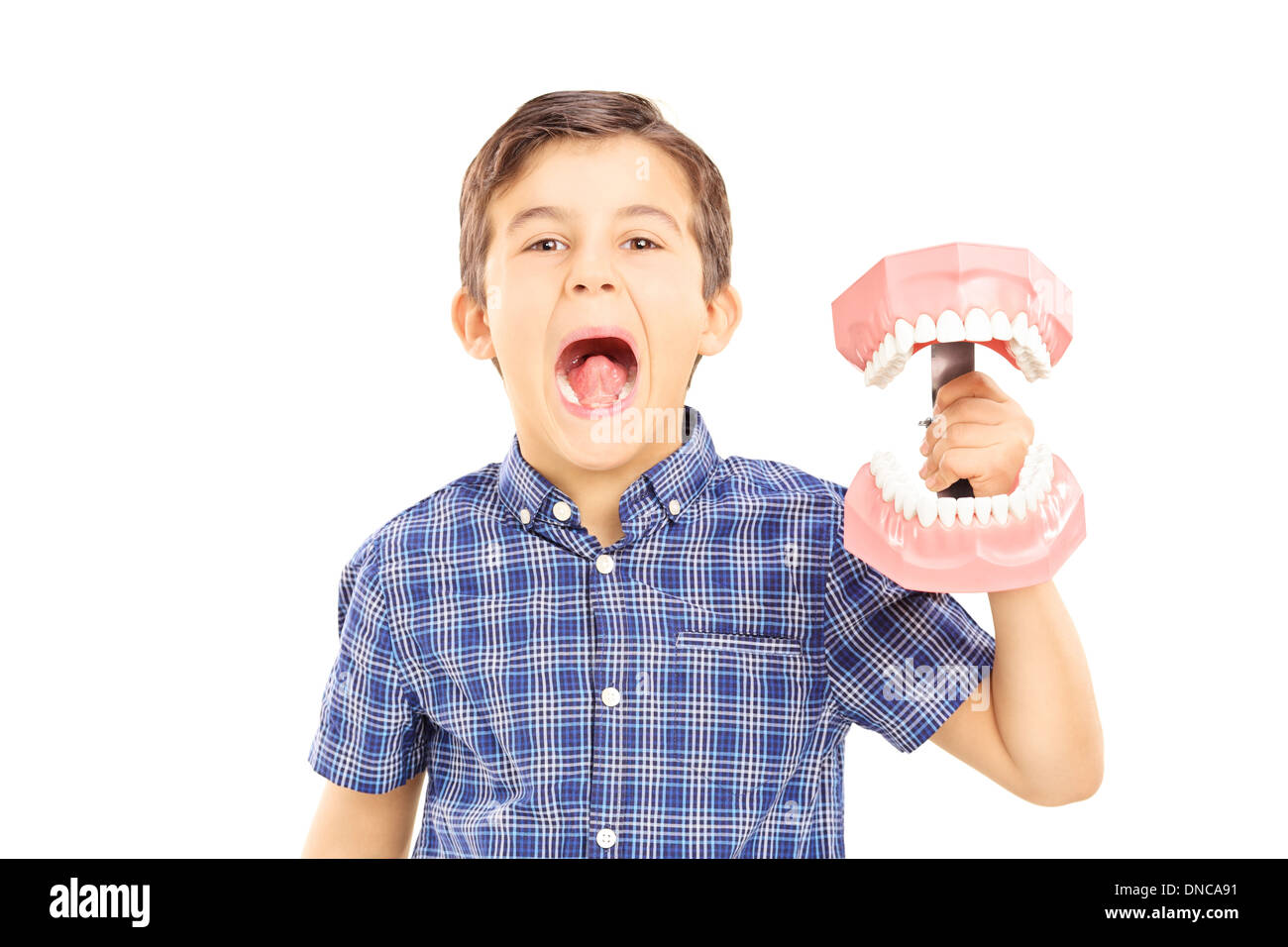 Excited kid with open mouth holding a teeth sample made out of plaster ...