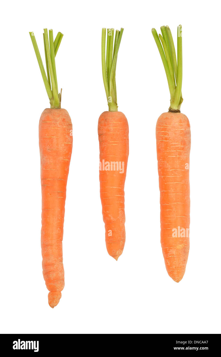 Fresh red carrots isolated on white background Stock Photo - Alamy