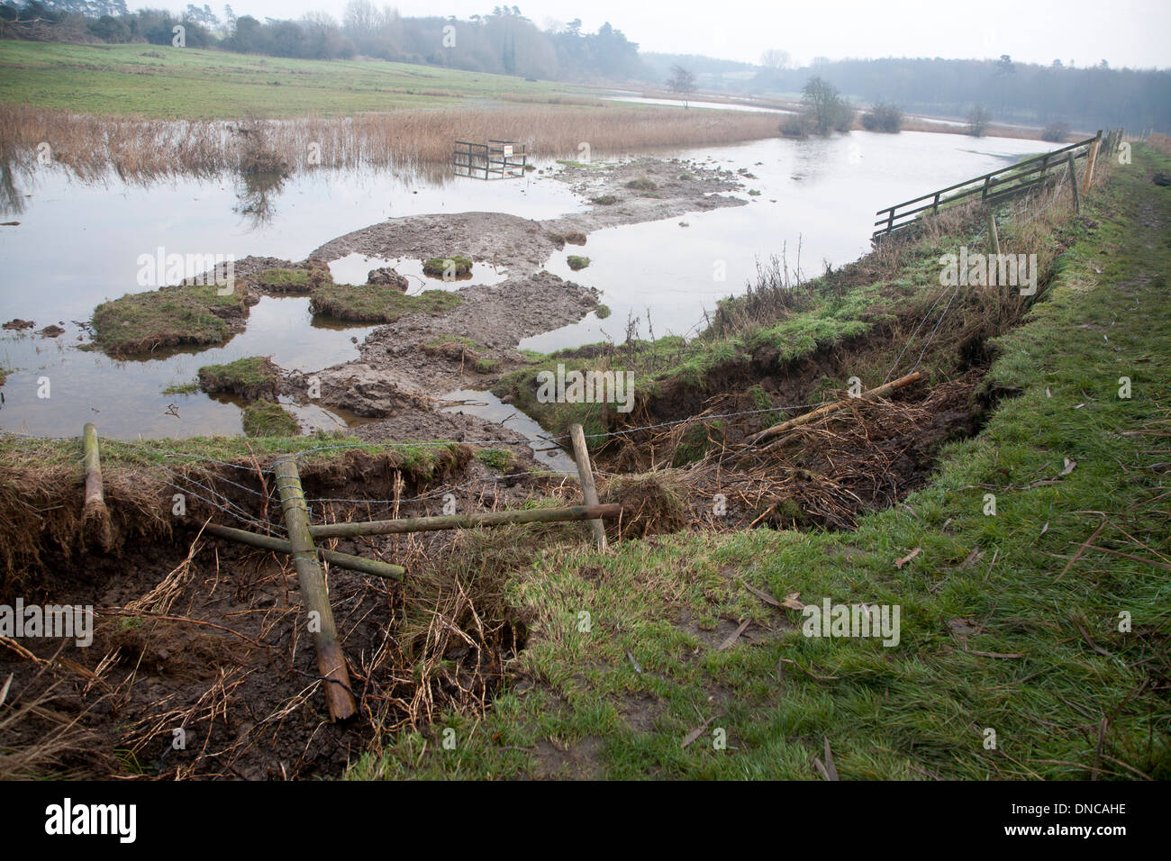 Erosion to River Deben flood defences by storm surge flooding Ramsholt ...