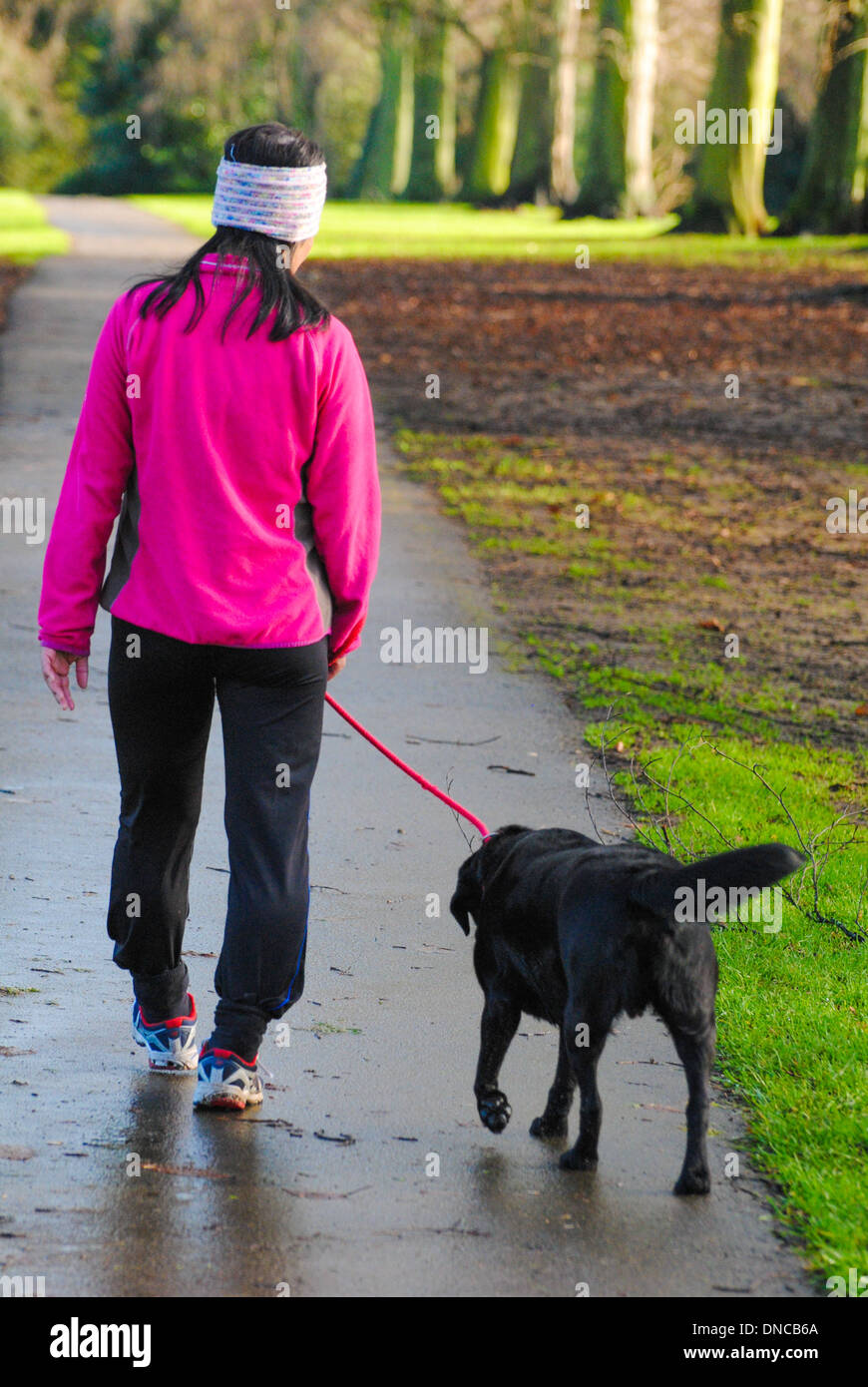 Lady walking dog hi-res stock photography and images - Alamy