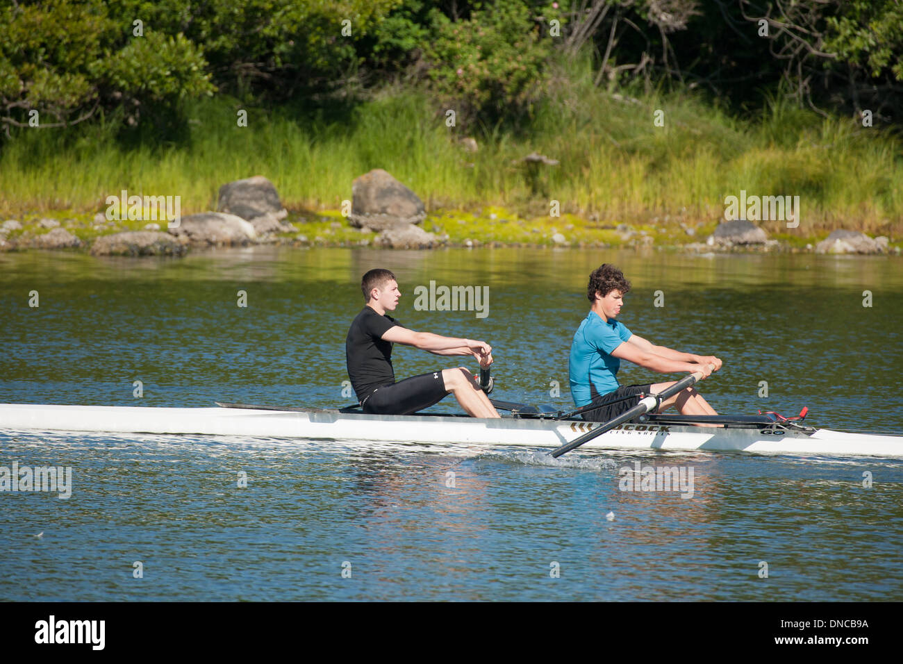 Boys high school team training in rowing scull on Esquimalt Lagoon ...