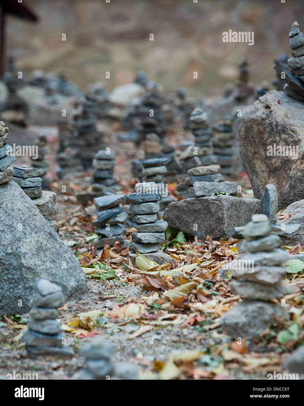 Buddhist temple grounds hi-res stock photography and images - Alamy