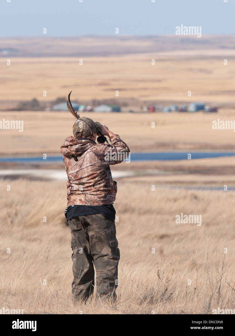 Boy bird hunt hi-res stock photography and images - Alamy