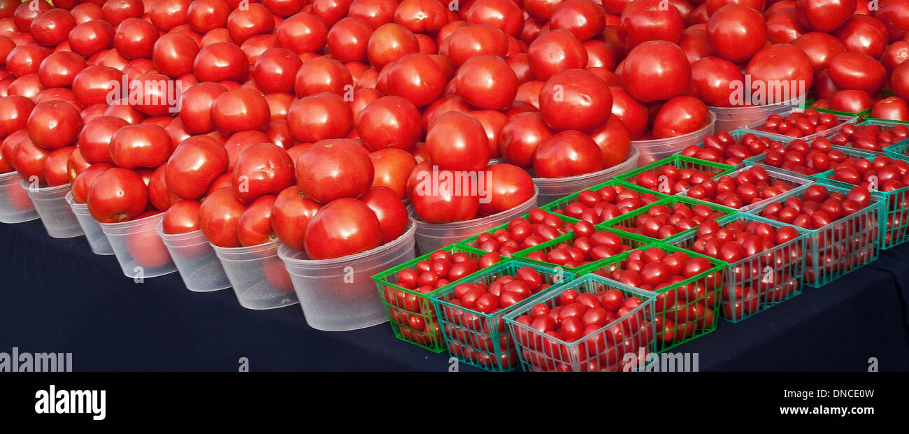 Tomatoes for sale Stock Photo - Alamy
