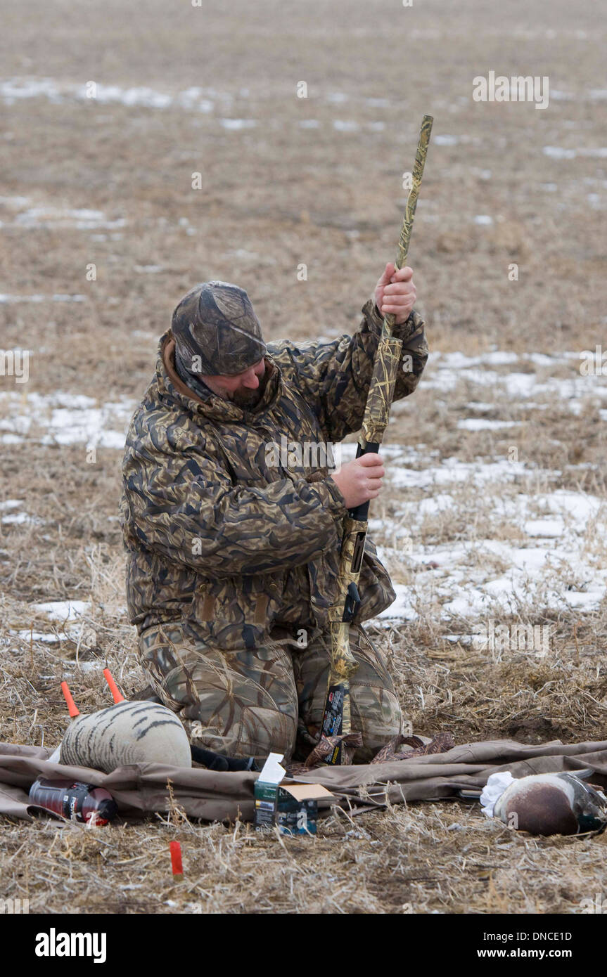 Duck hunting waterfowl hi-res stock photography and images - Alamy