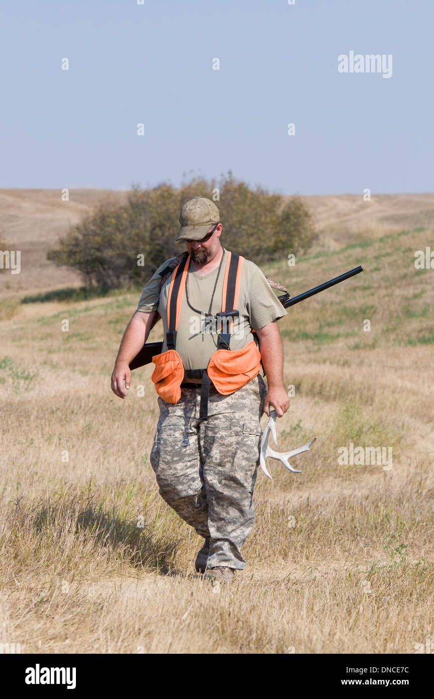 Fall grouse hunt hi-res stock photography and images - Alamy