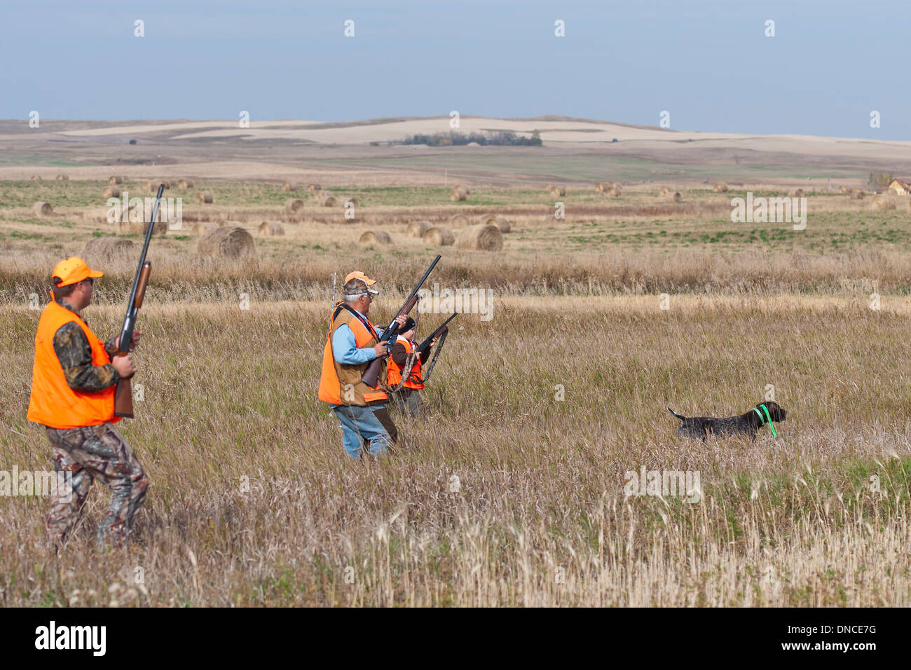 Group of hunters Stock Photo - Alamy